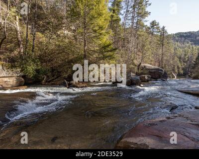 A shallow rocky river surrounded by tall autumn trees during daylight ...