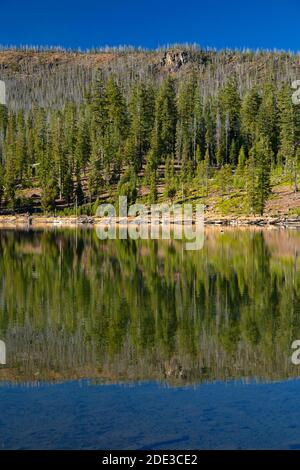 Campbell Lake, Fremont National Forest, Oregon Stock Photo - Alamy