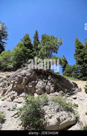 Rainbow Trail Lake Tahoe California Stock Photo - Alamy