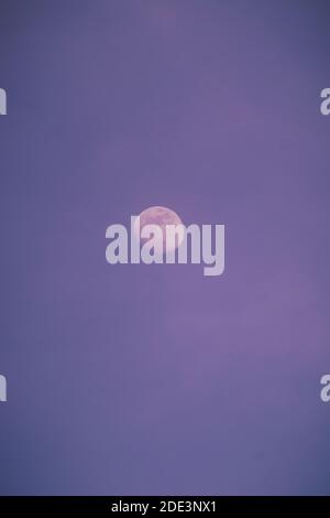 Spotted moon in violet sky in evening Stock Photo - Alamy