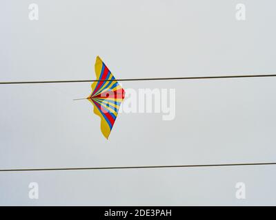 Red kite on a power pole Stock Photo - Alamy
