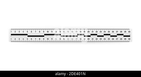 Forensic ruler for the measuring of a crime scene evidence Stock Vector ...