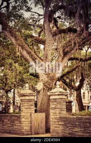 courtyard garden at Old St Augustine Village St Augustine Florida Stock ...