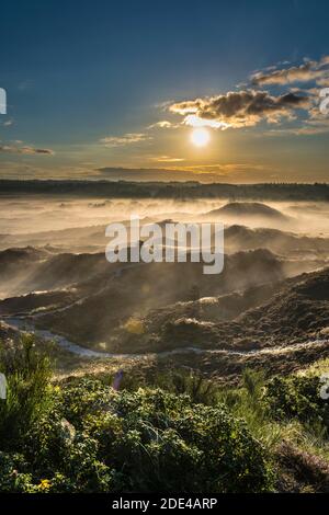Heath landscape with wafts of fog in the Veluwezoom, Netherlands Stock ...