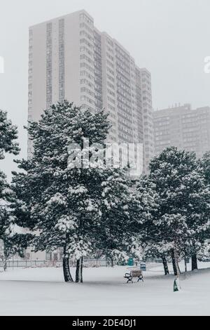 Toronto residential area in winter Stock Photo - Alamy