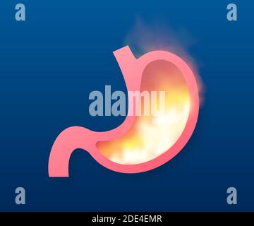 Fire stomach digestion icon. Outline fire stomach digestion vector icon ...