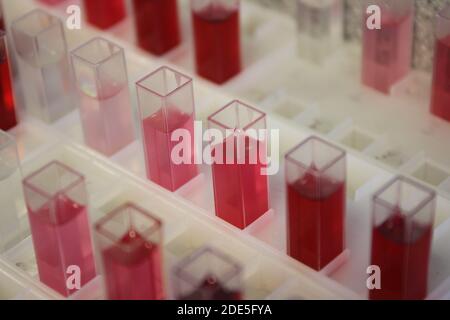 Cuvettes in Holders Containing Samples of Red Liquid in a Laboratory ...