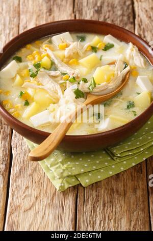 Venezuelan Chupe Andino soup with chicken, cheese, vegetables and cream ...