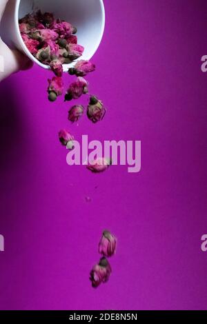 A lot of little pink roses falling on a pink background - vertical ...