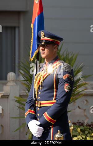 CAIRO, EGYPT - JANUARY 28, 2019: Tourists riding camels near Giza ...