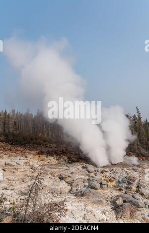 Mineral formations at a geyser, Norris Geyser Basin, Yellowstone ...