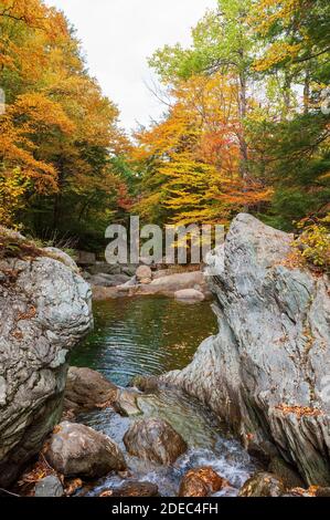 Waterfall cascading down between trees into rocky pool Stock Photo - Alamy