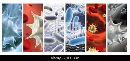 Collection of horizontal or vertical banners with pathogenic bacterias ...