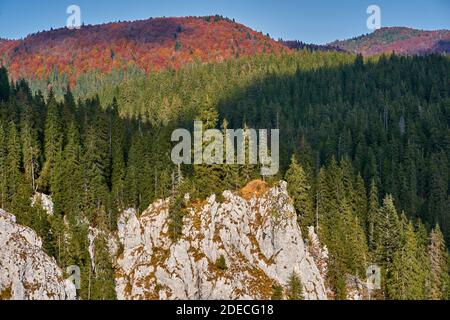 Mountains with huge cliff and pine forests in the autumn Stock Photo ...