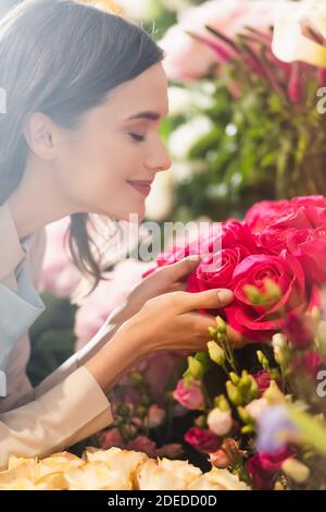 Smiling florist with closed eyes smelling gerberas with blurred range ...