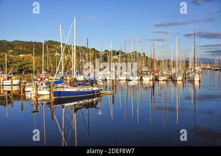 Town Basin Whangarei Northland New Zealand Stock Photo - Alamy