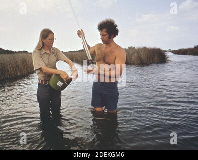 1970s Photo (1972) - EPA Gulf Breeze Laboratory: The microbiology lab ...