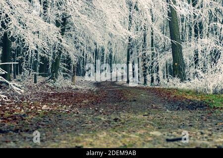 Tisa rocks, the first winter transformation Stock Photo - Alamy