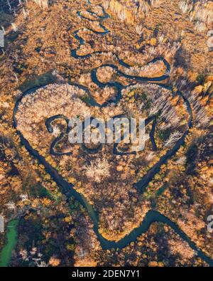Heart shaped river in Altai territory. Summer june forest. Wonder of ...