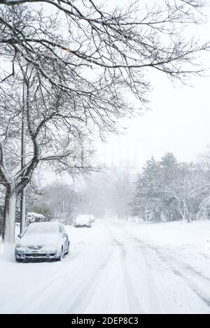 Street art after heavy fall of snow in winter in Paris 2026 - France ...