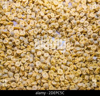 Cappelletti, filled pasta Stock Photo - Alamy