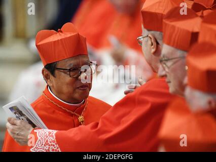 New cardinal Ignatius Suharyo Hardjoatmodjo (Indonesia) poses as he ...