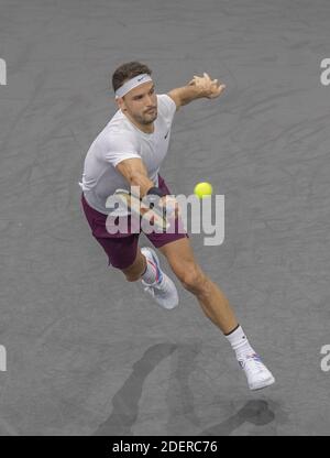 Grigor Dimitrov during the Rolex Paris Masters 1000 ATP tennis ...