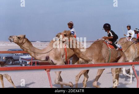 Children camel jockeys at a camel racing, Dubai, UAE 1990s Stock Photo ...