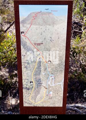 Biodiversity of flora in heath / Kwongan habitat, Wheatbelt, Frank Hann ...