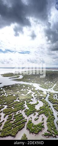 Aerial view of beautiful marshes with winding rivers and colorful ...