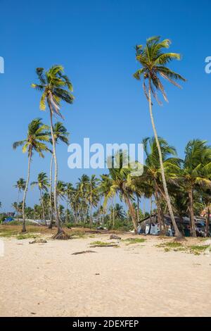 Beach shack Colva Goa India Stock Photo - Alamy
