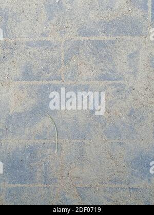 A vertical shot of sandy paving slab with gray texture Stock Photo - Alamy