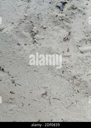 A vertical shot of the grey sand texture at the beach Stock Photo - Alamy