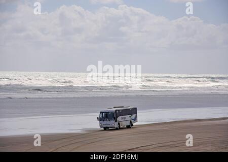 sightseeing bus driving on ninety mile beach in Northland Stock Photo ...