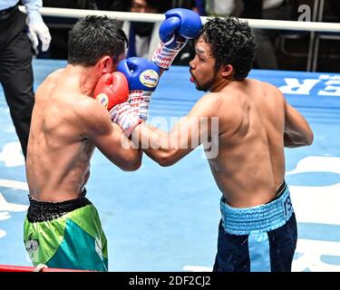 Tokyo, Japan. 21st Nov, 2020. (R-L) Rikki Naito, Yusuke Konno Boxing ...