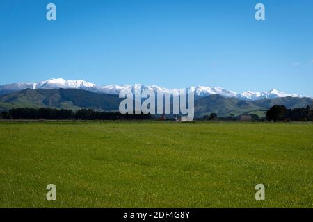 Snow capped Tararua mountain range near Carterton, Wairarapa, North ...