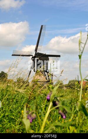 Mill in a polder landscape Stock Photo - Alamy