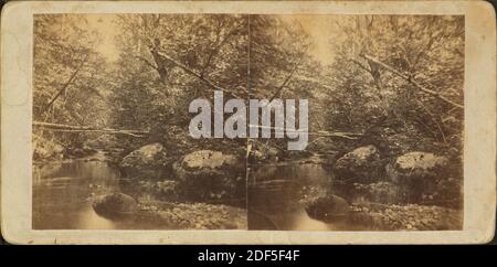 Mountain brook., still image, Stereographs, 1850 - 1930, Hinds, A. L ...