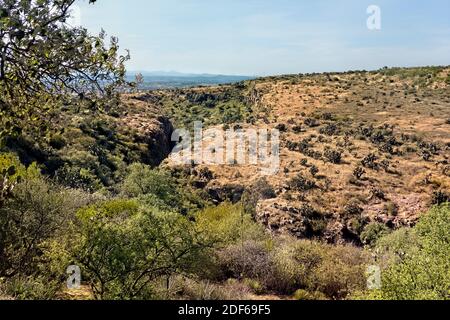 EL CHARCO DEL INGENIO is a botanical garden with cactus and other ...