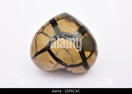 Septaria or septarian concretion is a mineral precipitation (calcite ...