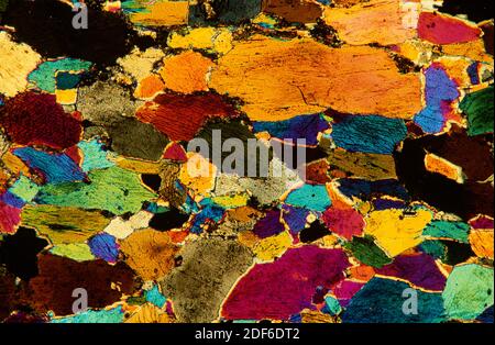 Polarised light micrograph of a thin section of gabbro, an igneous rock ...