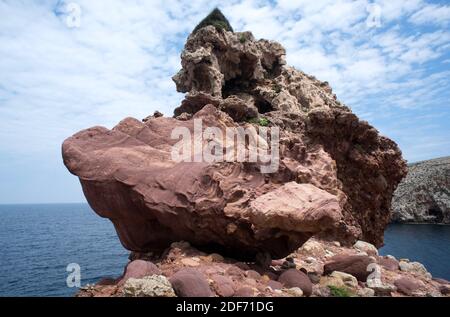 Miocene conglomerate with sandstone and limestone pebbles (left) and ...