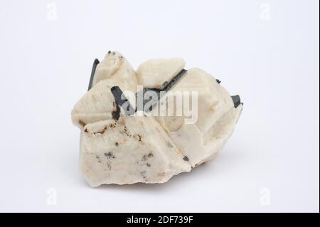 Orthoclase (white) with tourmaline (black). Orthoclase or orthoclase ...