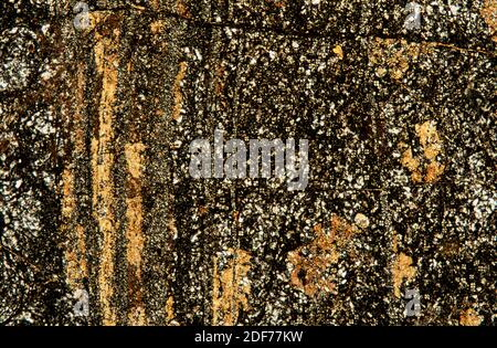 Rhyolite is a volcanic rock equivalent to intrusive granite ...