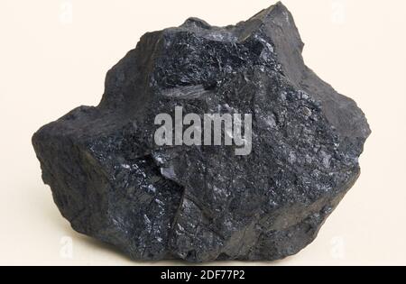 Coal Sedimentary Rock
