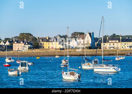 France, Finistere, Porspoder, stage on the GR 34 hiking trail or ...