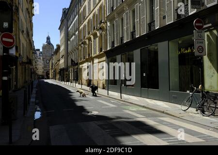 Dog pooping on the street Stock Photo - Alamy