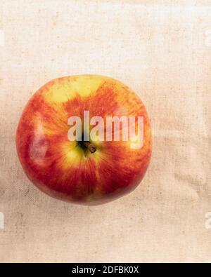 One half of ripe light yellow pumpkin, close-up, on a white background ...