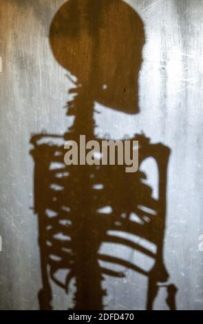 Shadow of a human skeleton Stock Photo - Alamy
