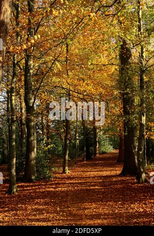 Autumn in Bath - rainbow woods Stock Photo - Alamy